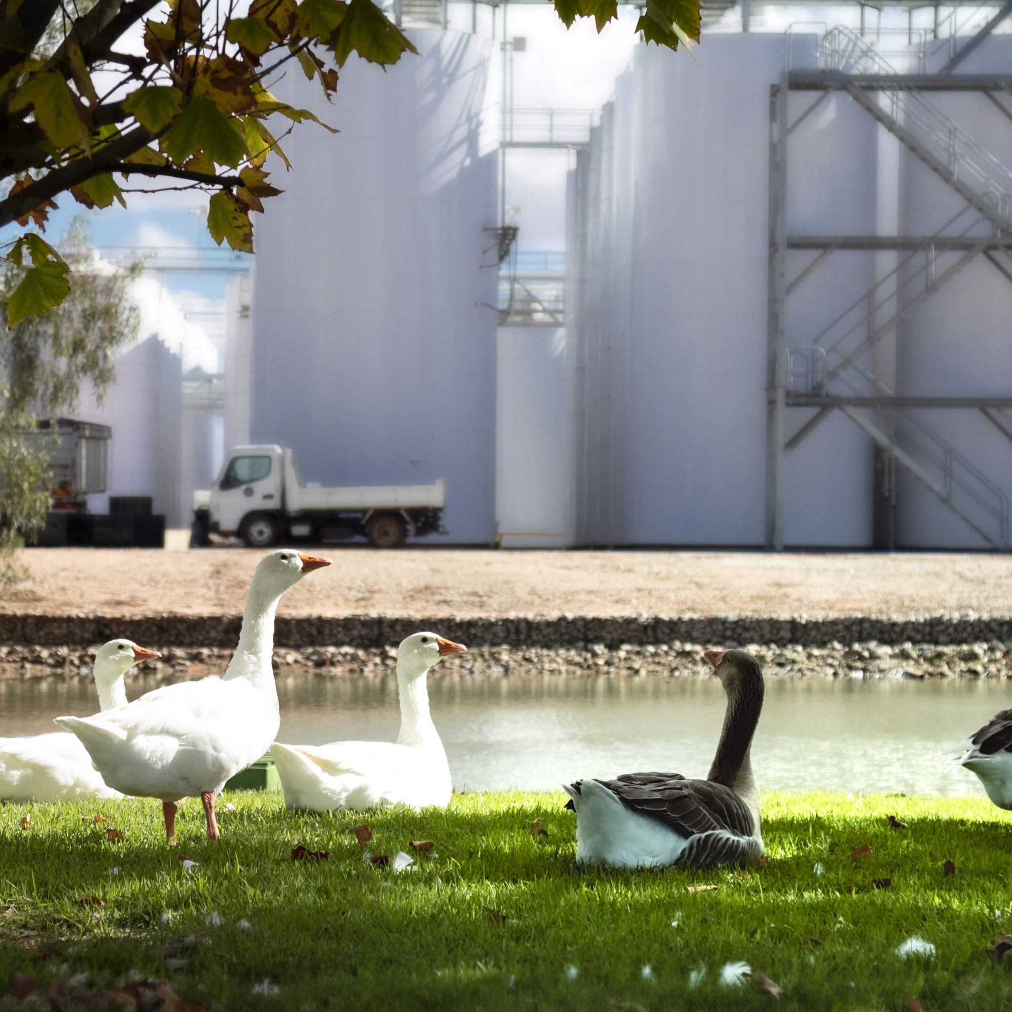 Andrew Peace Wines: The Australian life, bottled. | A&G Engineering